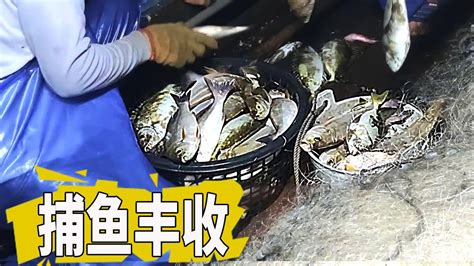 彪哥外海捕鱼大丰收，海鲜一群接着一群的撞网，解鱼都忙不过来了【南澳岛记录员彪哥】 Youtube