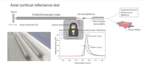 New Article Multiphoton Imaging In Conjunction With Icg Imaging By A