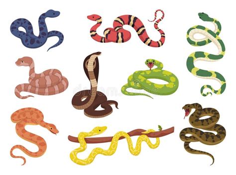 Tropical Serpents Cartoon Snakes Exotic Reptile Anaconda Cobra Python