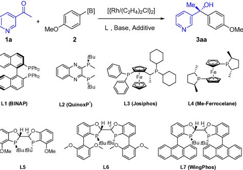 Rhodium Catalyzed Addition Of 4 Methoxyphenylboronic Acid To