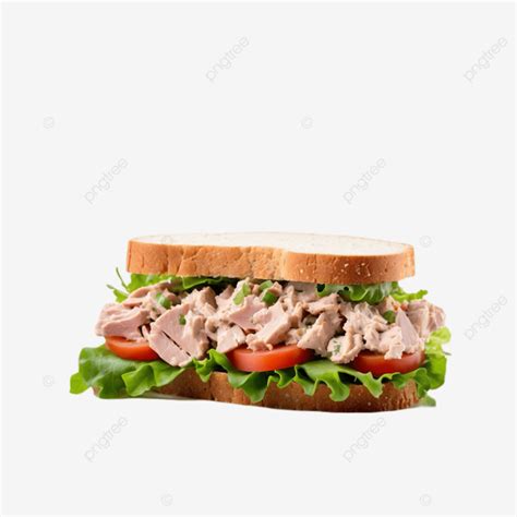 흰색 배경에 고기 양상추와 토마토를 곁들인 샌드위치 고기가 들어간 샌드위치 상추 그리고 흰색 바탕에 토마토 Png 일러스트 및 이미지 에 대한 무료 다운로드 Pngtree