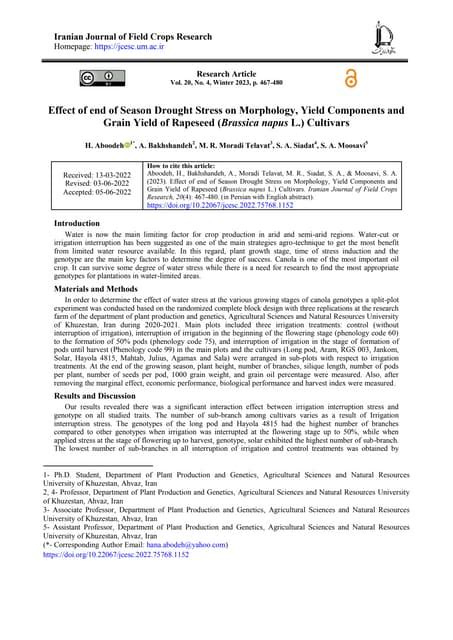 Effect Of End Of Season Drought Stress On Morphology Yield Components And Grain Yield Of