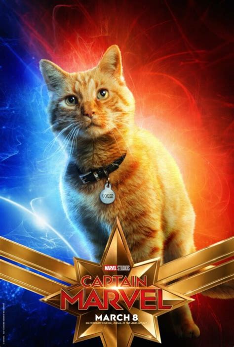 Кошка Гуся Goose The Cat Кот из Капитана Марвел Memepedia