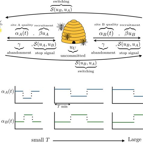 A Schematic Of Swarm Foraging Model With Two Feeding Sites Eg