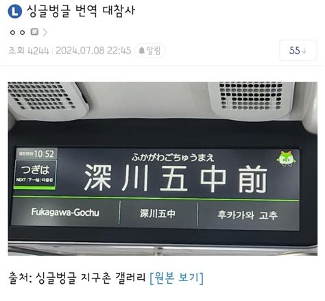 번역 대참사 유머 움짤 이슈 에펨코리아