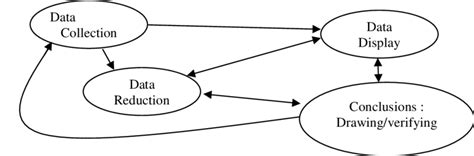 Components Of Interactive Model Data Analysis Download Scientific Diagram