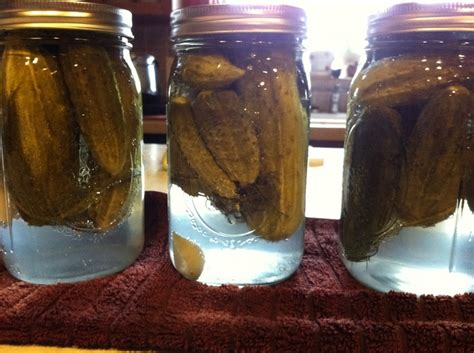 Pin By Elisha Cook On Food Food Cucumber Dill