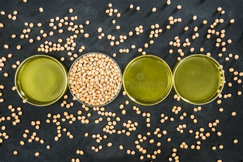 Soybean Genetically Modified Plant Cell Stock Image Image Of Chemical Biotechnology 57123027