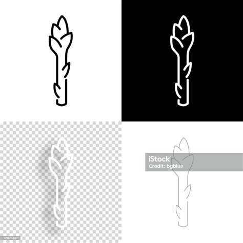 아스파라거스 디자인 아이콘입니다 빈 흰색 및 검은색 배경 선 아이콘 아스파라거스에 대한 스톡 벡터 아트 및 기타 이미지