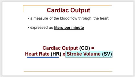 Lecture 42 Cardiac Output Flashcards Quizlet