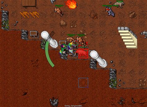 Tibia Rookgaard Br