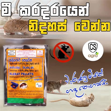 Klerat Wax Blocks Rat Killer Indoor Home Daraz Lk