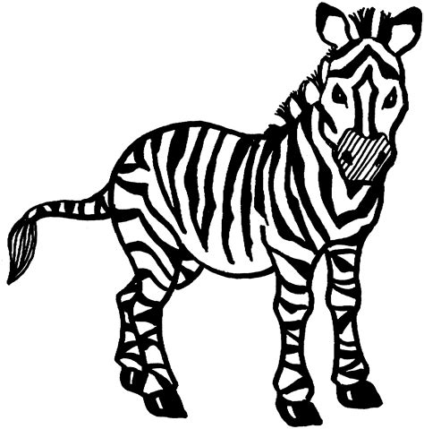 Dibujo Para Colorear Cebra Dibujos Para Imprimir Gratis Img 17710