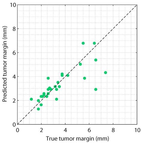 Tumor Segmentation In Colorectal Ultrasound Images Using An Ensemble Transfer Learning Model