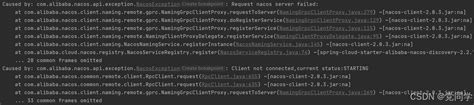 Caused By Alibaba Nacos Api Exception Nacosexception Client Not