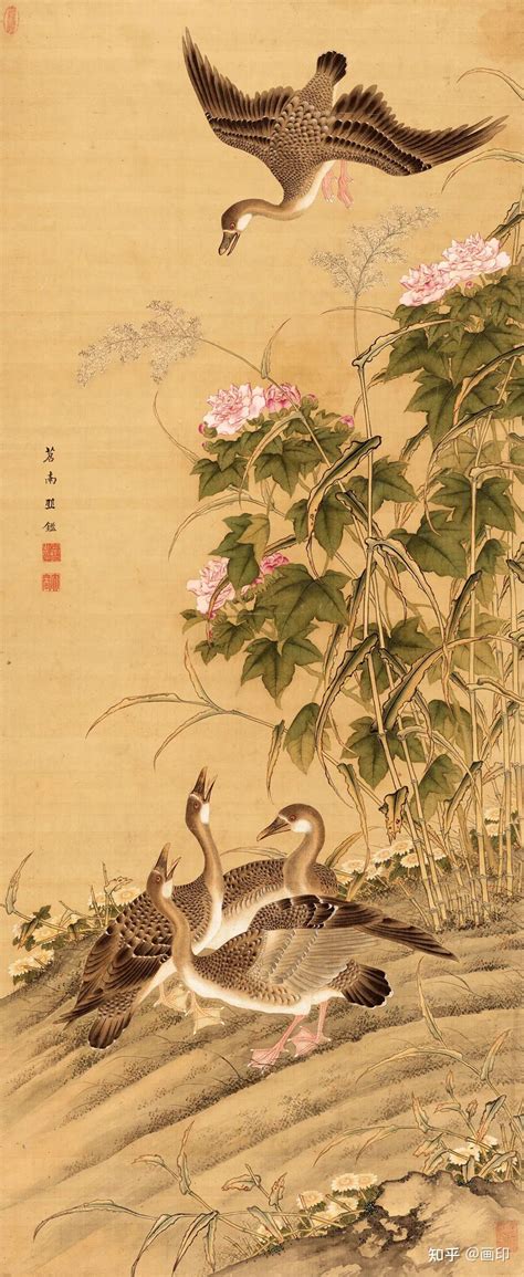 清 丘鉴芙蓉芦雁图 知乎