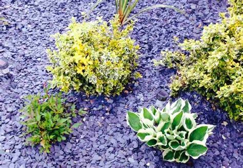 How To Lay Slate Chippings In Garden Step By Step Guide