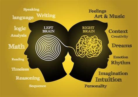 What Is The Yellow Brain Personality
