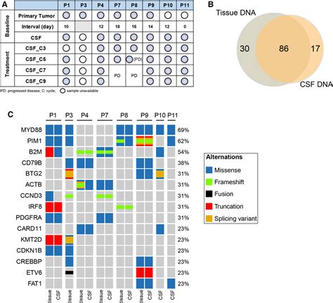 Molecular Analysis Of Tissues Or Csf A The Timeline Of Sample Download Scientific Diagram