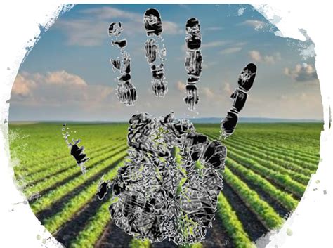 Farm Attacks And Murder Is An Emotional Topic That Has Dire Consequences