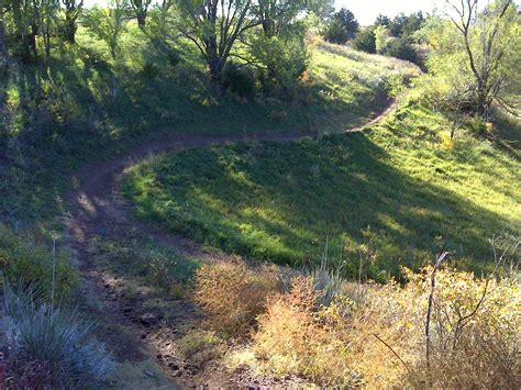 Switchgrass Photos