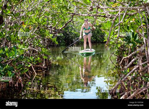 Florida Keys Key Largo John Pennekamp Coral Reef State Park Largo Stock Photo Alamy