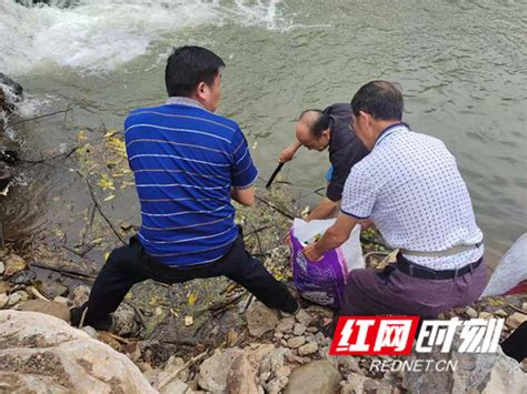 赵家岗土家族乡长安村：河道垃圾清理，党员带头先行乡镇动态慈利新闻网