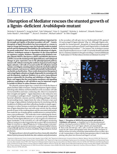 Pdf Disruption Of Mediator Rescues The Stunted Growth Of A Lignin Deficient Arabidopsis Mutant