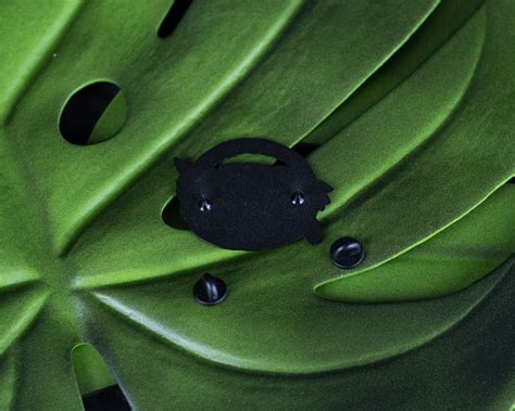 Toucan Fruit Basket Pin On Storenvy