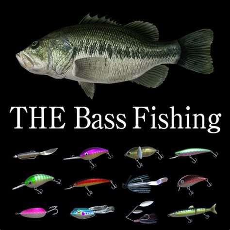 The Bass Fishing Deku Deals
