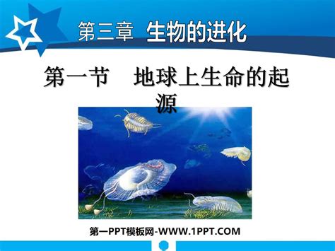 《地球上生命的起源》生物的进化ppt课件6 人教版八年级生物下册
