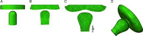 Joint Morphogenesis Prediction When A Multi Plane Motion From 401 To À
