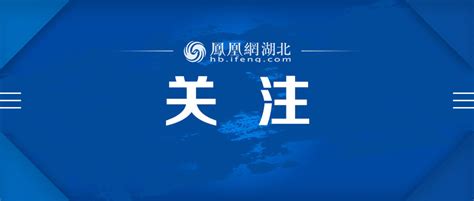 中国科学家成功克隆该基因 可有效提高玉米蛋白含量凤凰网湖北凤凰网