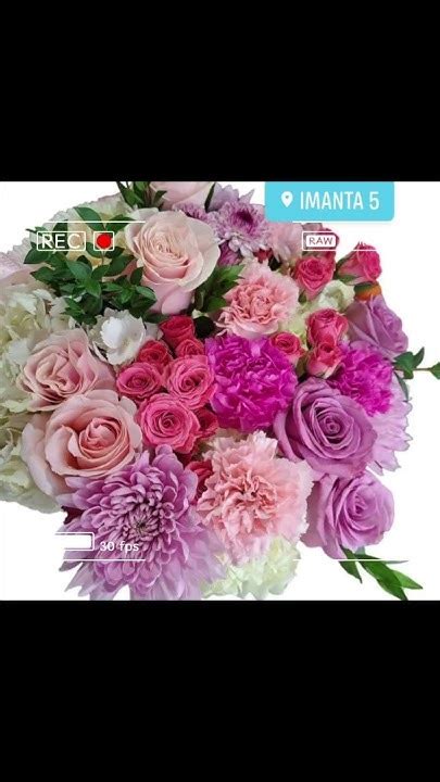 букеты розы цветы Flowers свадебные букеты украшения для машины Венки Штраусы Imanta 5 🎄