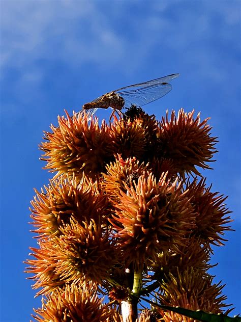 20240921 165017 John Midgett Flickr