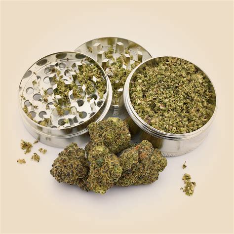 Pluto Strain Thca Flower Mood