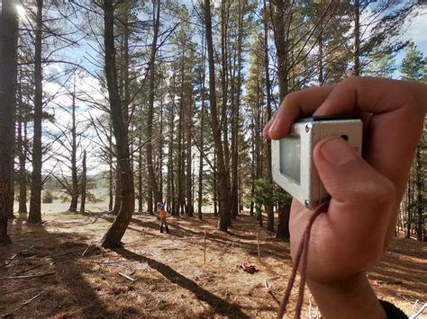 Interpine Innovation On Linkedin Forest Inventory Lidar Radiata