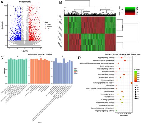 Identification Of Differential Expressed Long Non Coding Rnas