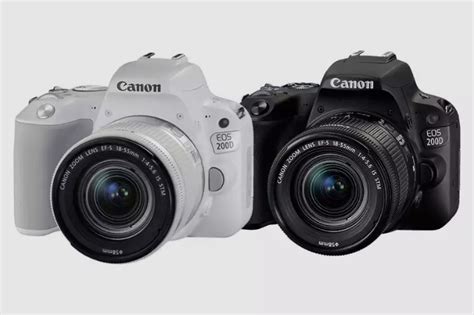 입문자를 위한 소형 Dslr 카메라 캐논 200d 발표