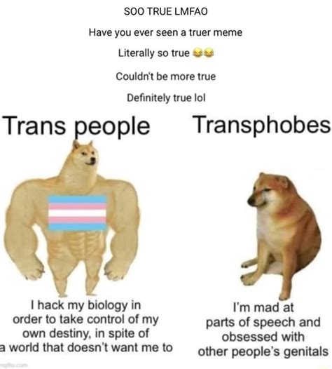 Soo True Lmfao Have You Ever Seen A Truer Meme Literally So True Couldn
