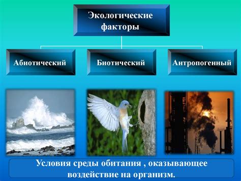 Среды жизни Экологические факторы Online Presentation