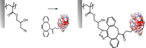 Example Of Strain Induced Azide Alkyne Cycloaddition For The Coupling Download Scientific