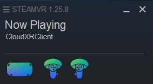 Oculus Quest Connected To Pc As A Client Is Detected As Htc Vive On