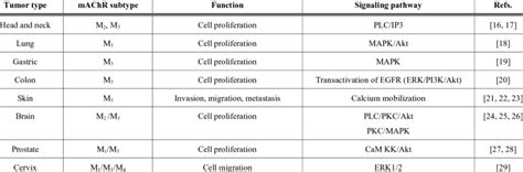 Subtypes And Functions Of Machr In Different Types Of Tumors