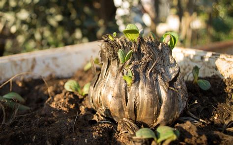 Nick Dimos Photography Home Facebook