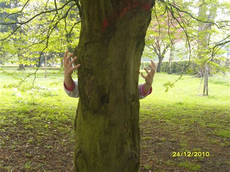 Invisible Tree Boobs By Kii Senpai On Deviantart
