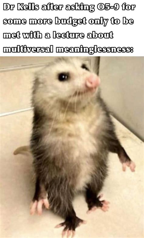 Well Okay Then Scp 7005 Rdankmemesfromsite19