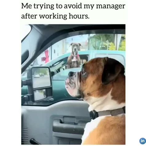 Mukesh Singh Posted On Linkedin