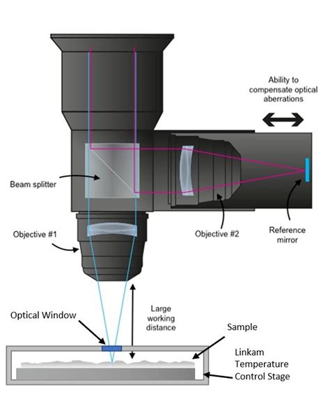 Characterising The Temperature Induced Topographical Evolution Of Nanoscale Materials Thermal