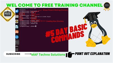 5 Day Linux Basic Commands Pwd Whoami Hostname Date All Commands Mkdir Youtube